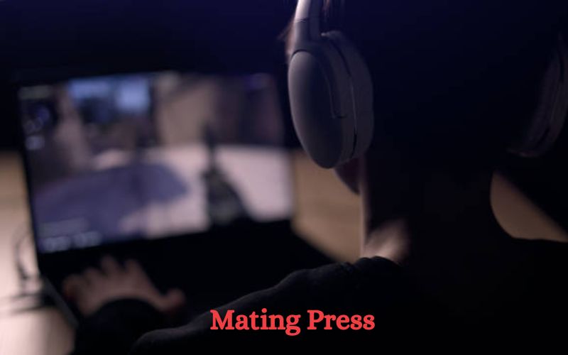 The World of Kashito_Toto: Rising Star of Live Streaming - Mating Press