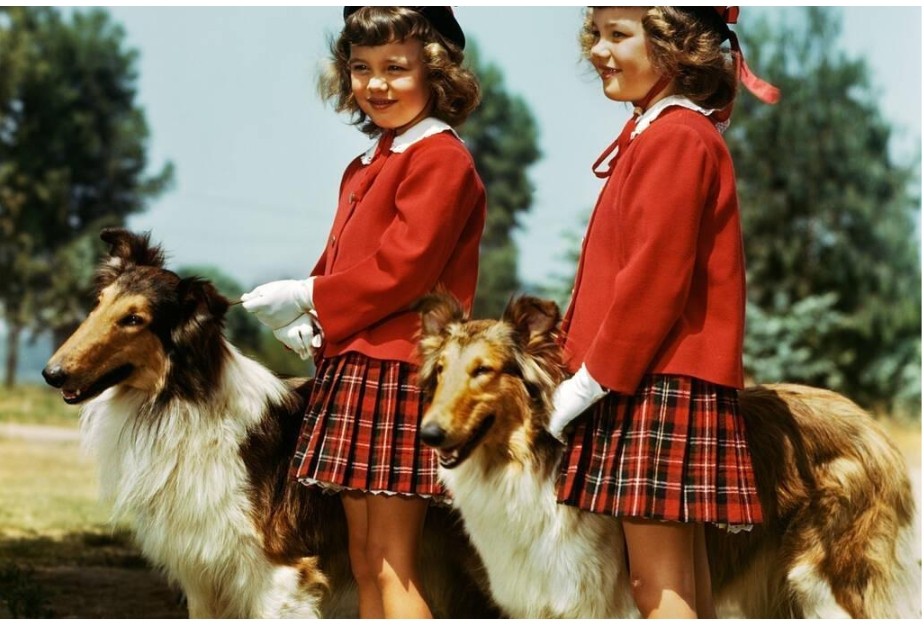 6 Color Combinations to Try with Your Tartan Mini Skirt - Mating Press