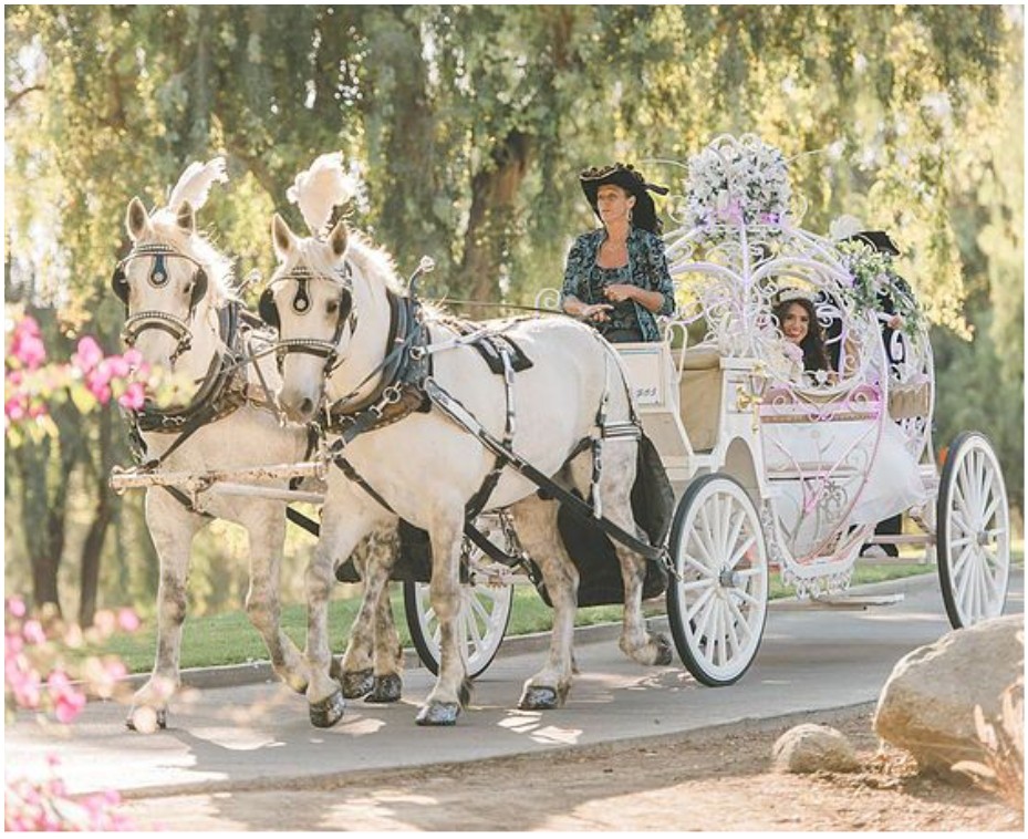 Carriage Ride & Tea: A Yorkshire Fairytale with WonderDays - Mating Press