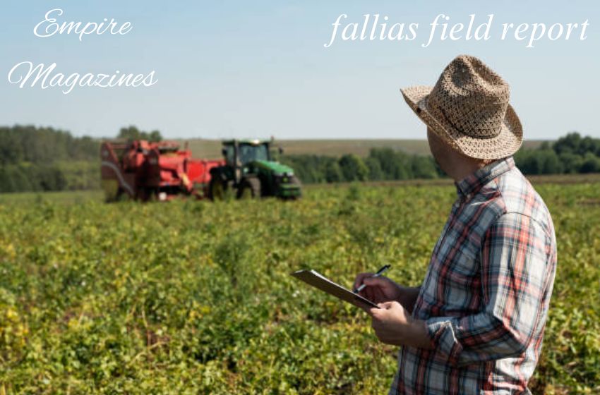 Fallias Field Report: Insights for Gamers - Mating Press