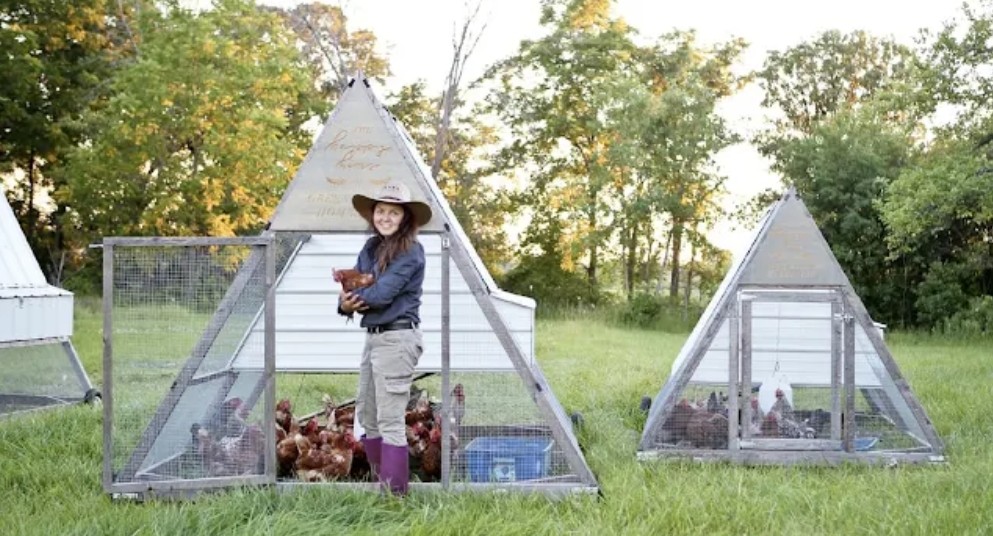 New designs of innovative chicken tractor for maximum mobility and ...