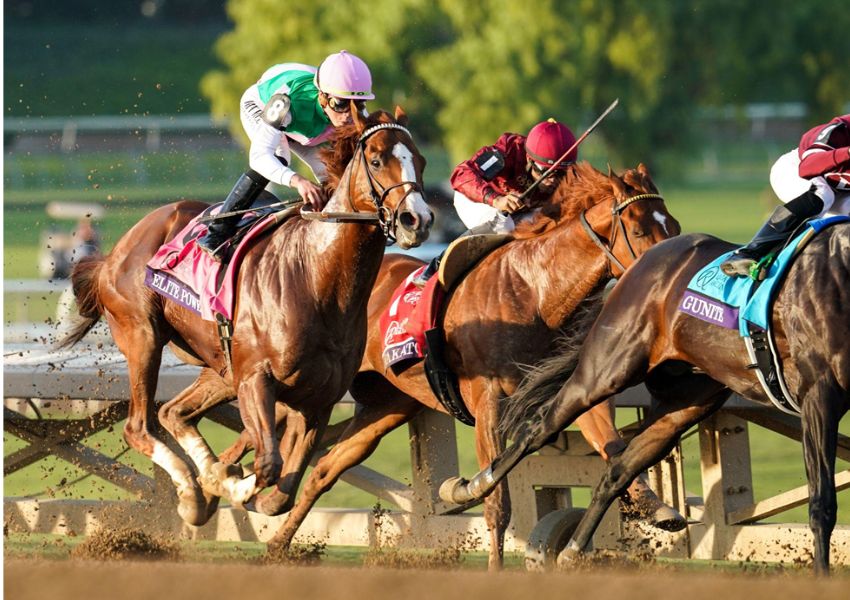 Breeders’ Cup Sprint Tips and Trends - Mating Press