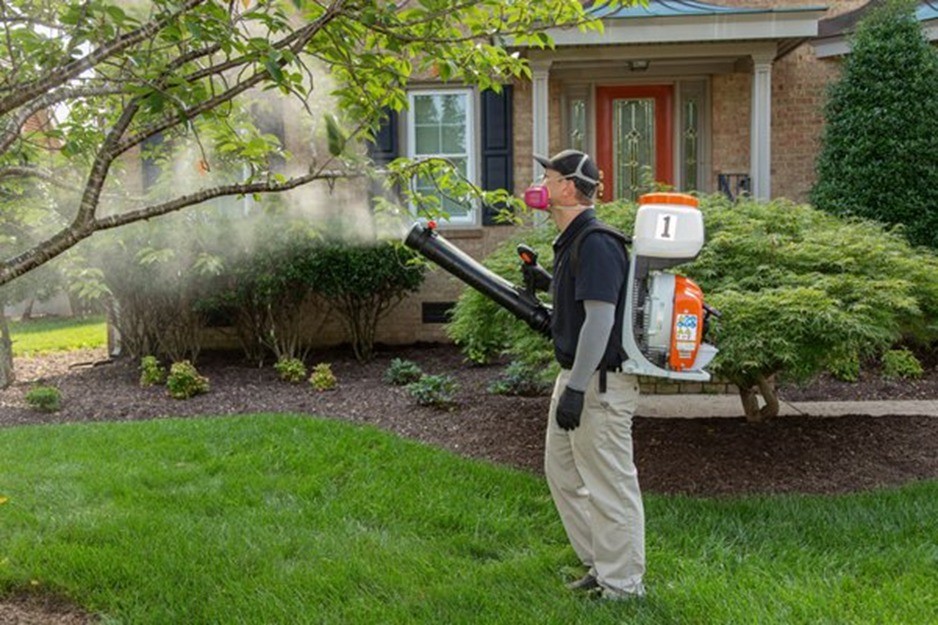 5 Warning Signs You Need Professional Mosquito Control Services ...