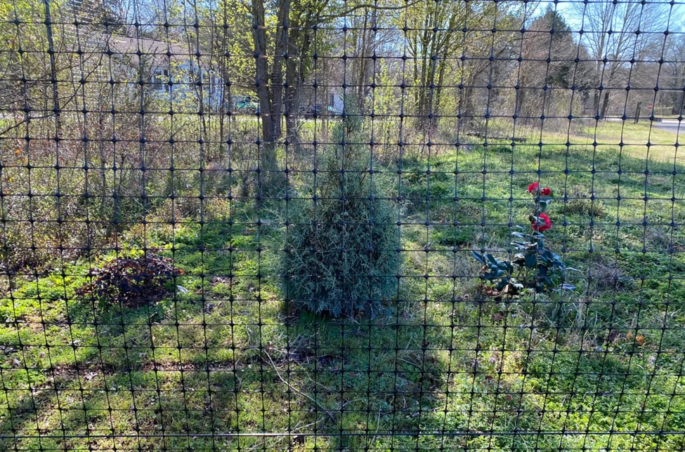 What Makes a Great Animal Fence? A Closer Look at Modern Solutions for ...