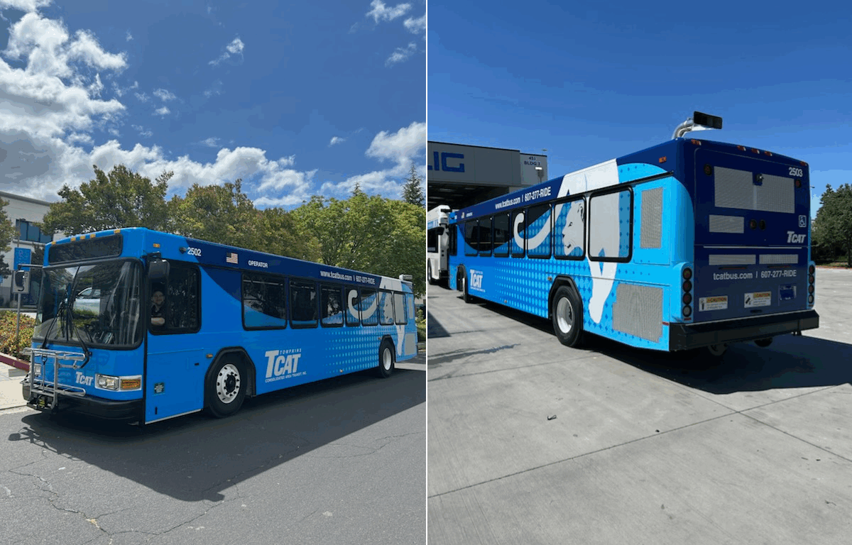 What Makes NYC So Irresistible in August? Let’s Catch a Bus from Ithaca ...